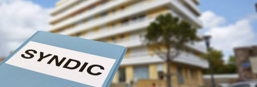 Le fonctionnement du syndic professionnel en ligne